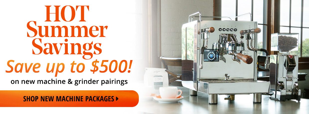 Summer Sale! - Whole Latte Love